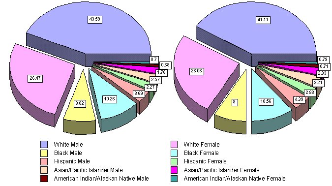 Annual Report on the Federal Work Force Fiscal Year 2003 | U.S. Equal ...